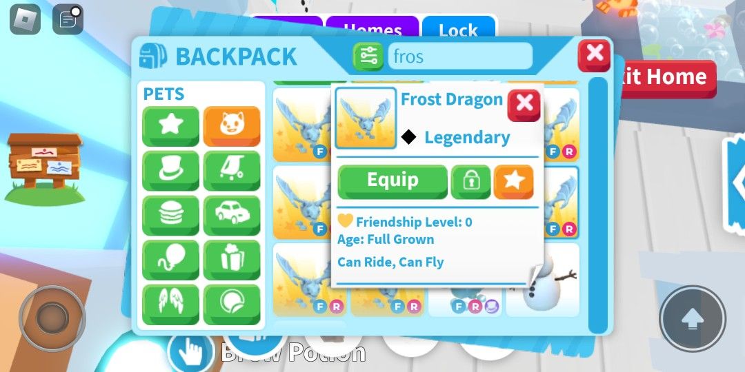 Adopt me Frost dragon, Video Gaming, Gaming Accessories, In-Game ...