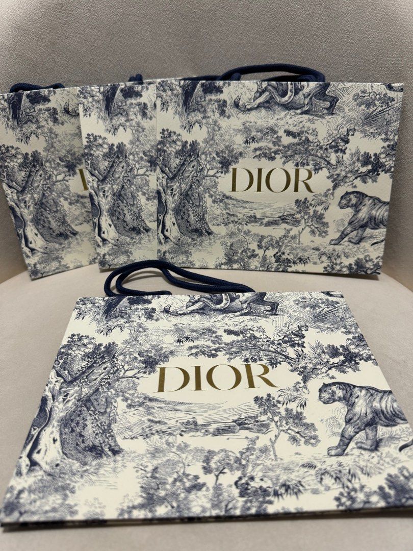 Dior Paper Bag, Everything Else, Others on Carousell
