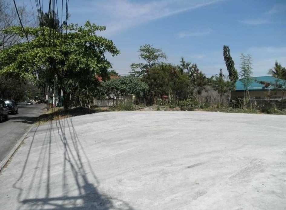LOT FOR SALE Elizalde ave. Bf Homes Parañaque, Property, For Sale, Lot ...