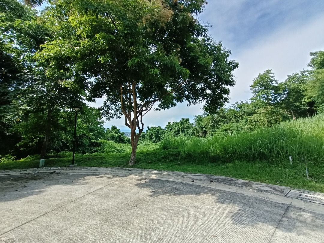 Lot overlooking Laguna de Bay at Ayala Greenfield Estates, Property ...