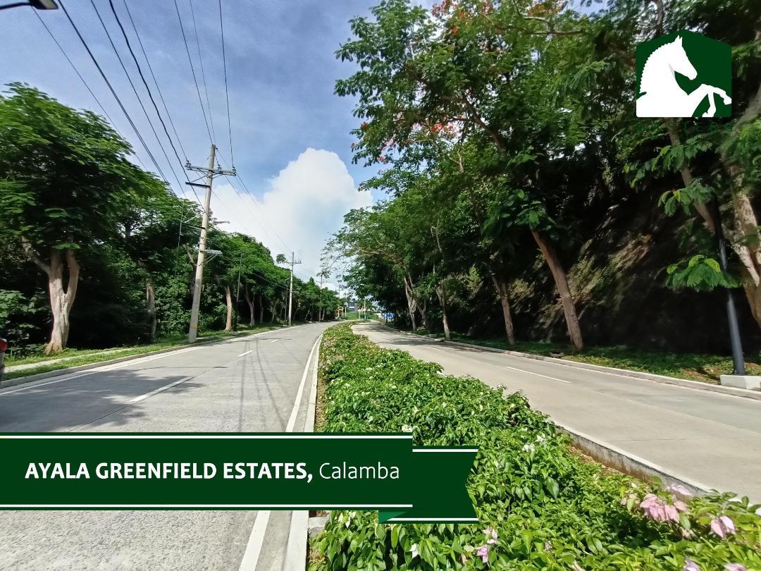 Lot overlooking Laguna de Bay at Ayala Greenfield Estates, Property ...