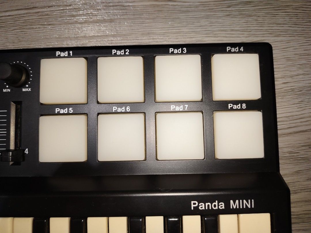 Worlde Panda Mini MIDI Keyboard, Audio, Other Audio Equipment on Carousell
