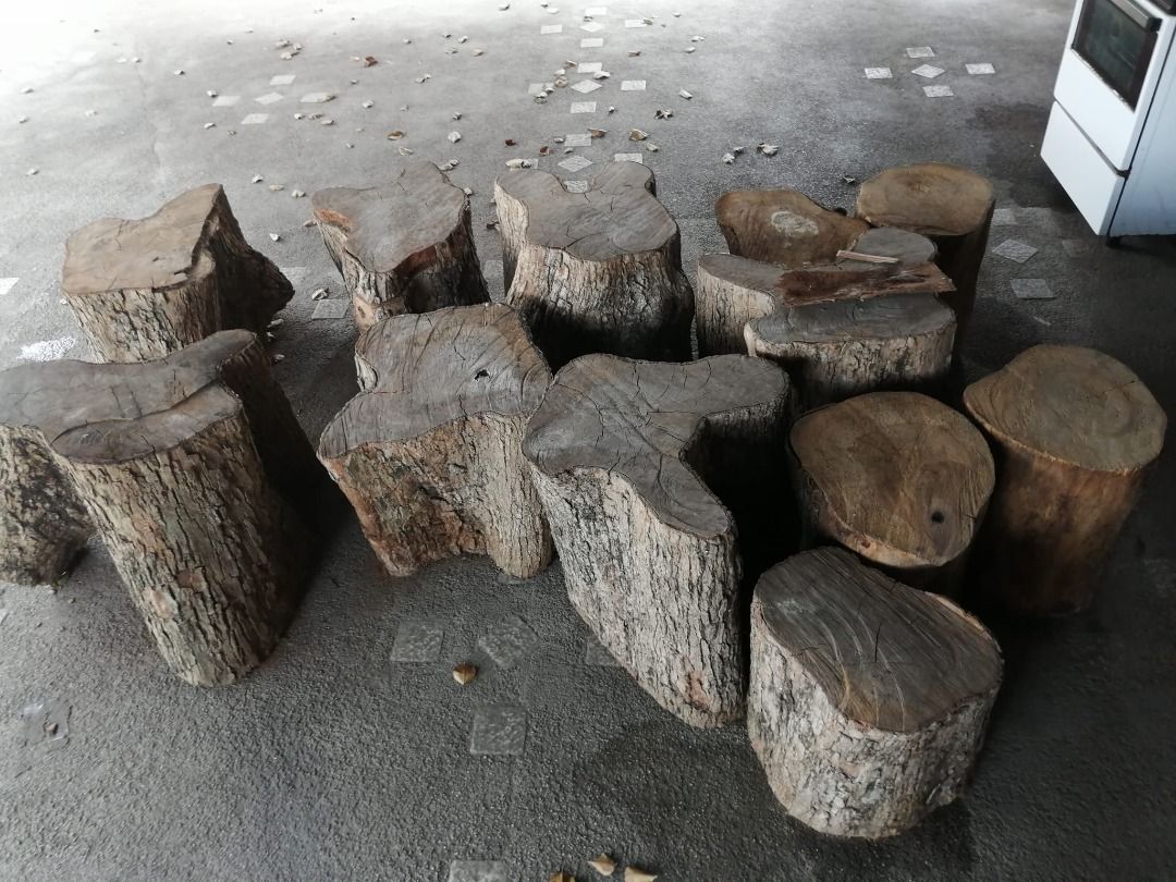 12 pcs. Wood stumps narra and caimito, price starts at P1500 depends on ...