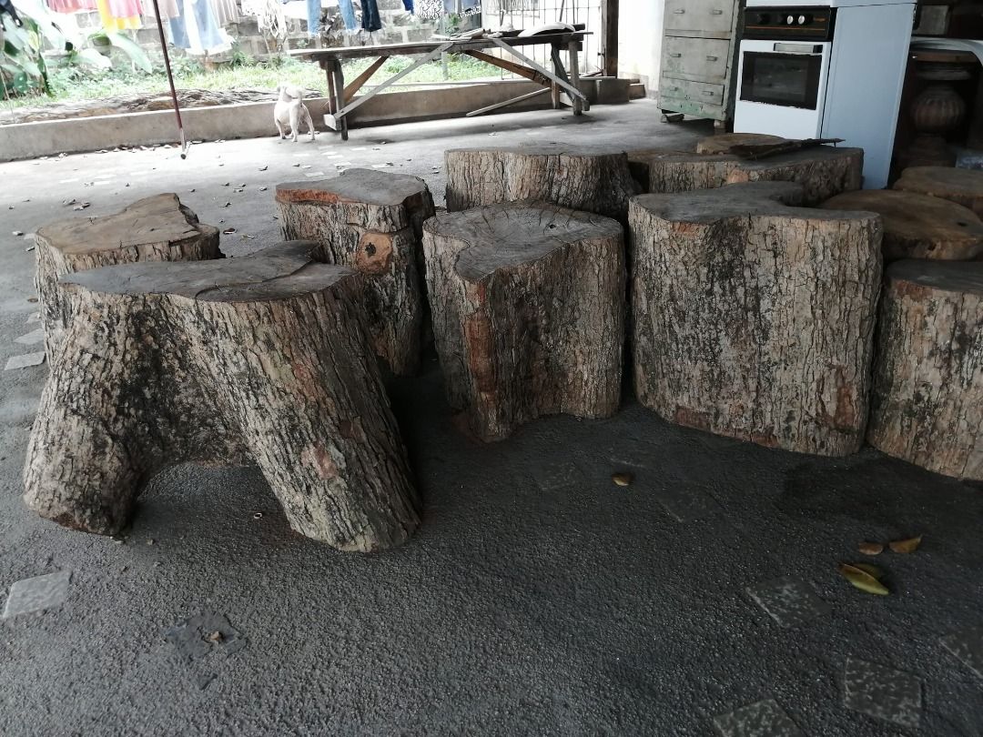 12 pcs. Wood stumps narra and caimito, price starts at P1500 depends on ...