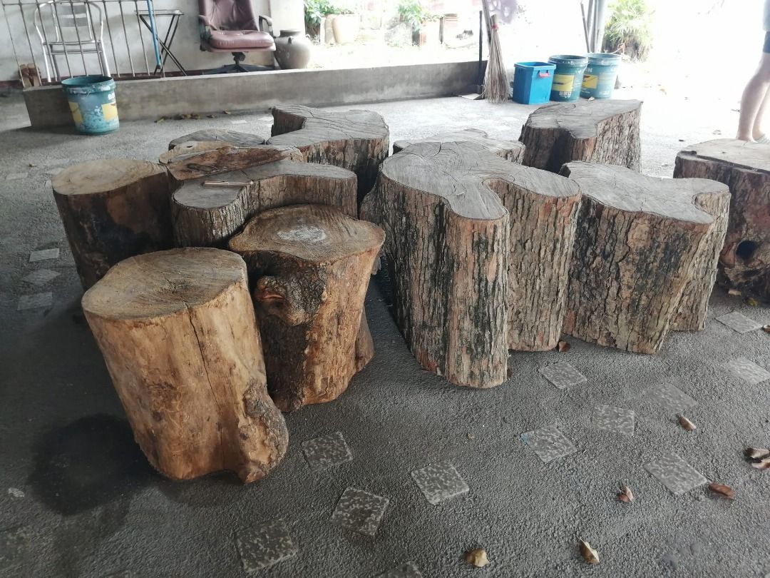 12 pcs. Wood stumps narra and caimito, price starts at P1500 depends on ...