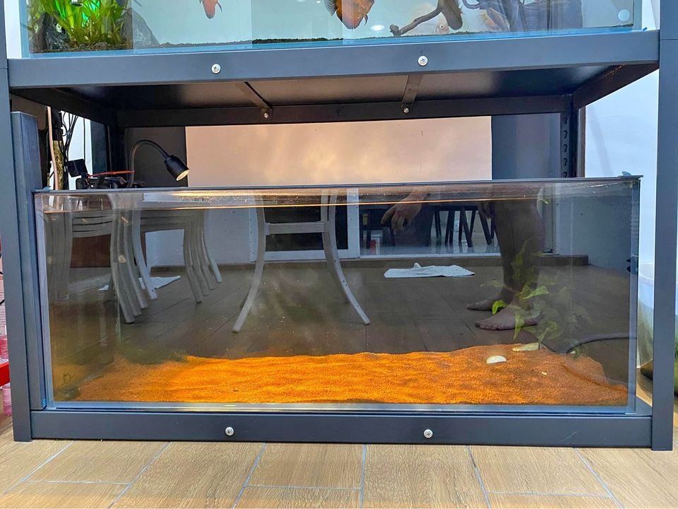 4ft cc tank set(prefect channa tank), Pet Supplies, Homes & Other Pet Accessories on Carousell