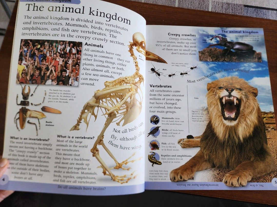 Animal Encyclopedia, Nature Encyclopedia, Hobbies & Toys, Books ...