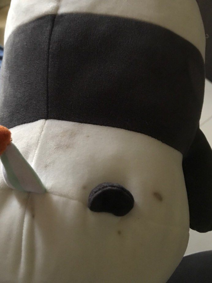 boneka panda we bare bears miniso, Toys & Collectibles, Mainan di Carousell