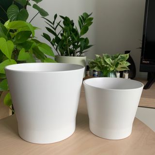 Ikea Plant Pot, Furniture & Home Living, Home Decor, Artificial Plants ...