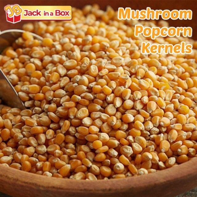 Popcorn Kernels - Mushroom - US Brand - 1Kg, Food & Drinks, Homemade Bakes on Carousell