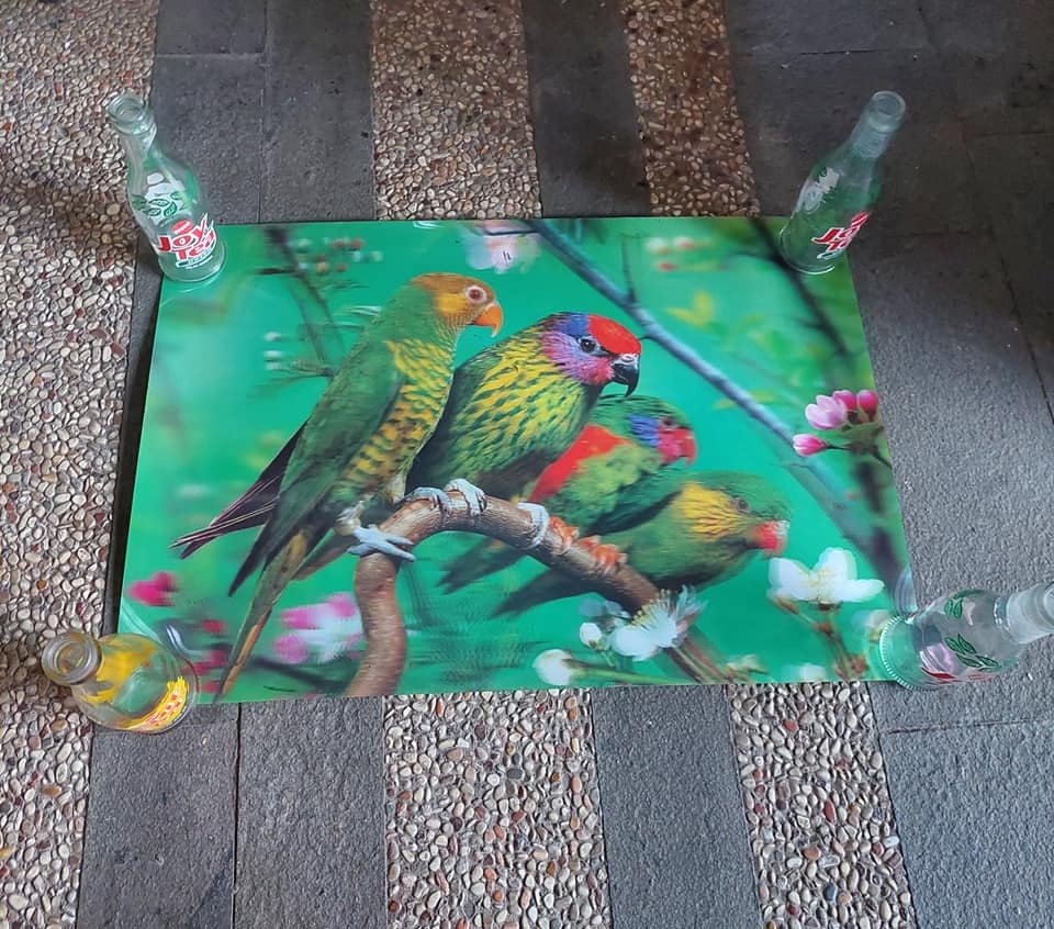 poster lukisan 3 dimensi burung beo LECET HALUS, Perabotan Rumah di ...