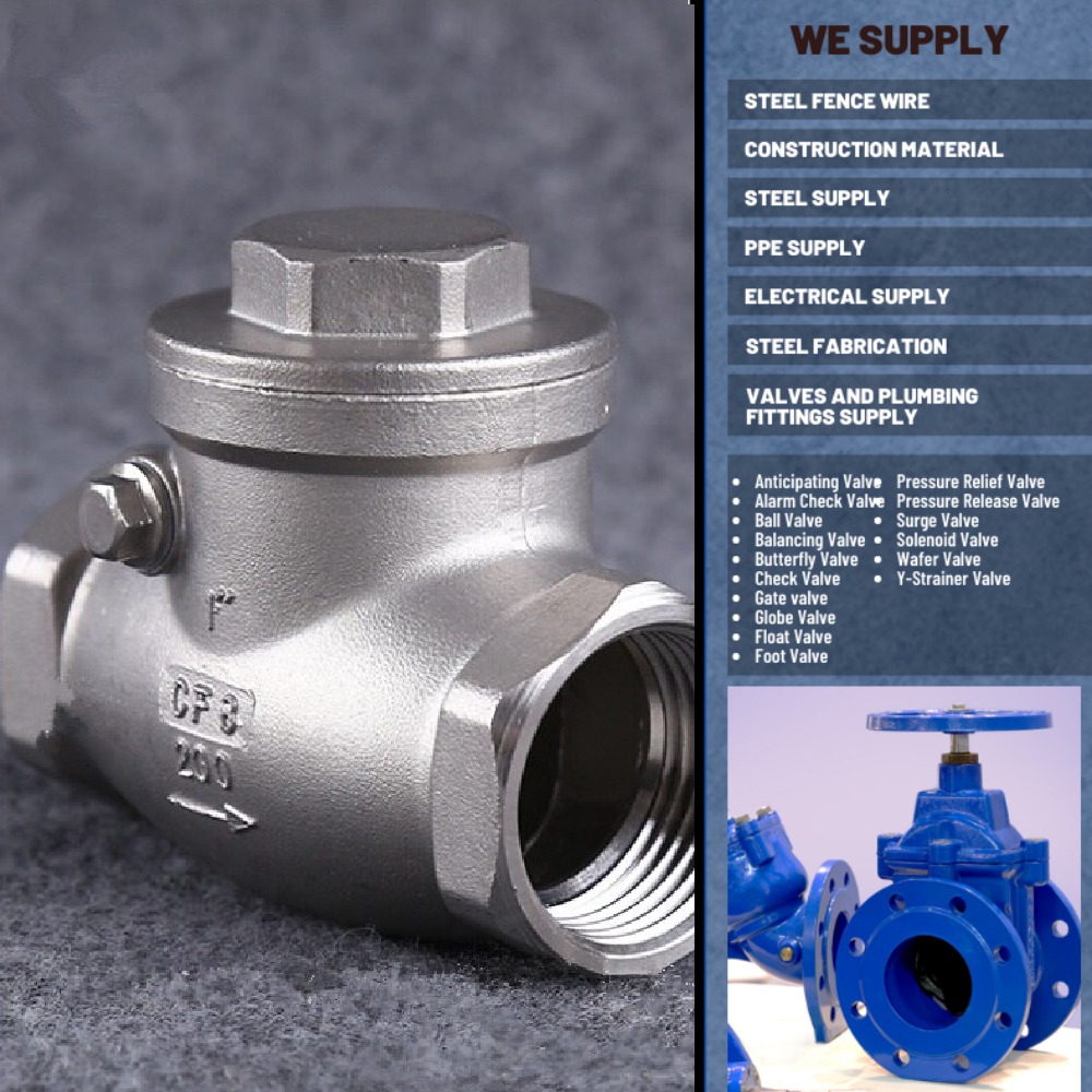 SS304 Thread Check Valves / SS 304 Stainless Check Valves / Swing Check ...