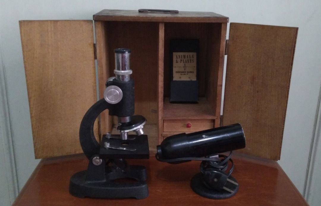 Vintage 1970's Puritan Microscope w/ Research Light & Prepared Animals ...