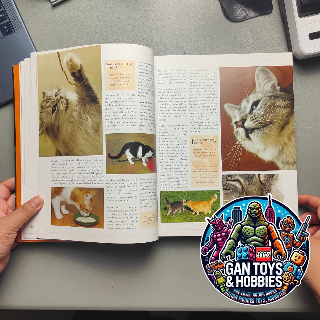 Buku The Complete Illustrated Encyclopedia of Cats & Kittens, Buku ...