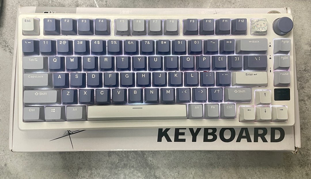 RUSH! RK M75 Keyboard with KTT Kang White Hand-Lubed Switches ...