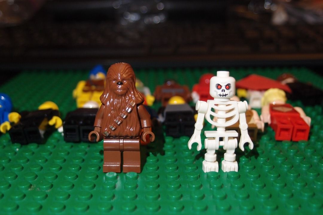 Chewbacca 骷髏 Skeleton 海盜老船員 Pirate Elder 農夫小子 Farm Boy 酋長 Chief 法拉利 ...