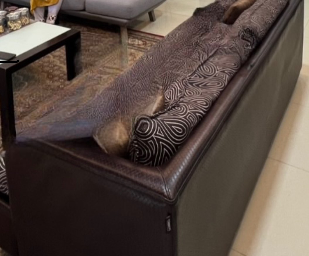 SOFA MAHAL !!! Harga beli 6k !!! JUAL 600 jer , Furniture & Home Living ...