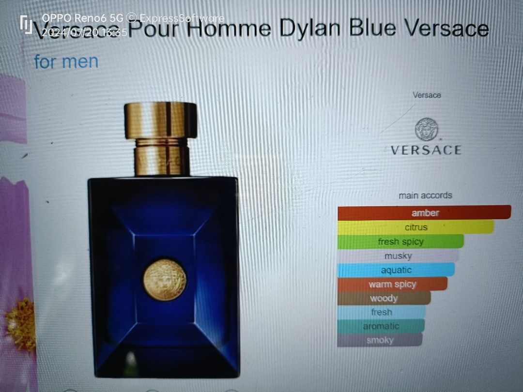 VERSACE - DYLAN BLUE - eau de toilette - 100 ml - for men spray - 100 % ...