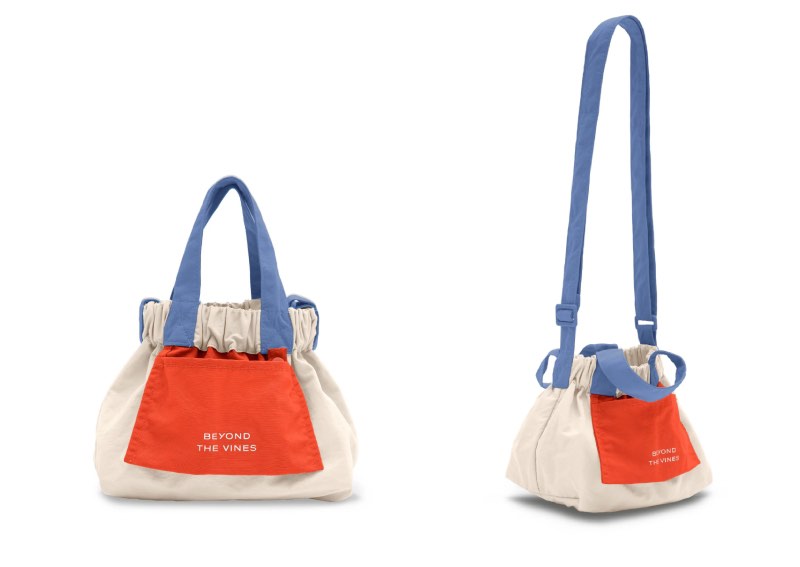 BTV Micro Dumpling in Cream/Red/Blue, Women's Fashion, Bags & Wallets ...