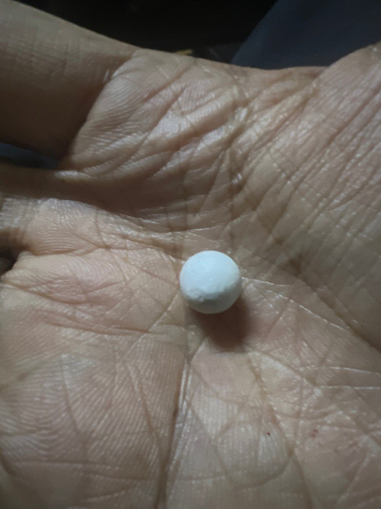 Geliga Labah Labah, Furniture & Home Living, Home Decor, Other Home ...