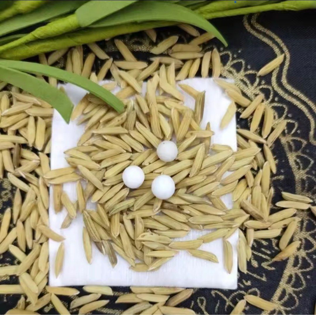 Geliga Labah Labah, Furniture & Home Living, Home Decor, Other Home ...