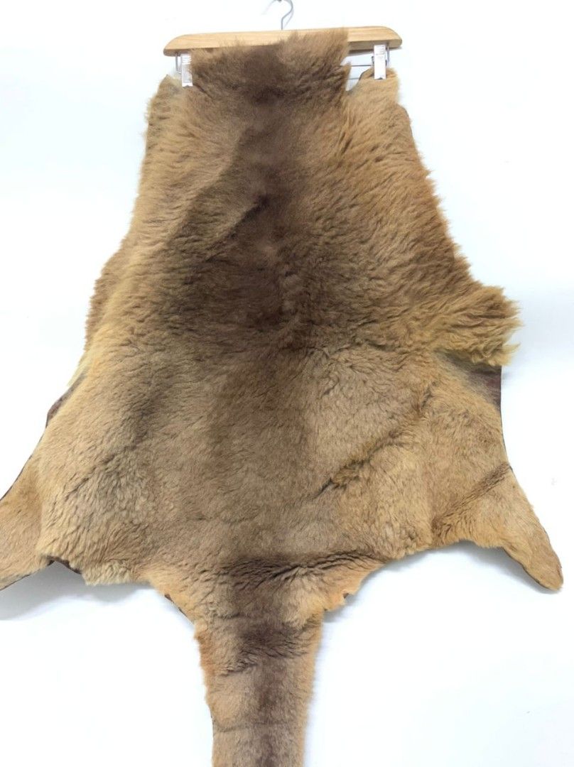 Kangaroo Leather, Furniture & Home Living, Home Decor, Wall Decor on ...