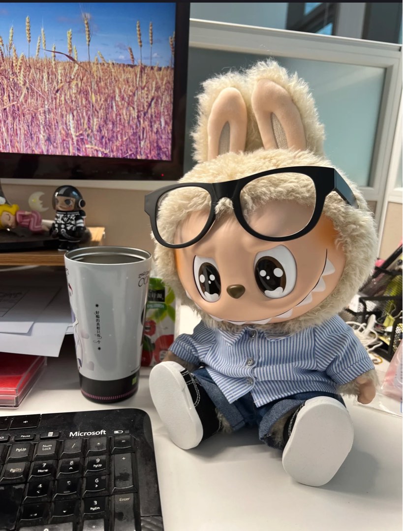 Labubu Flip With Me *READ Description*, Hobbies & Toys, Toys & Games on ...