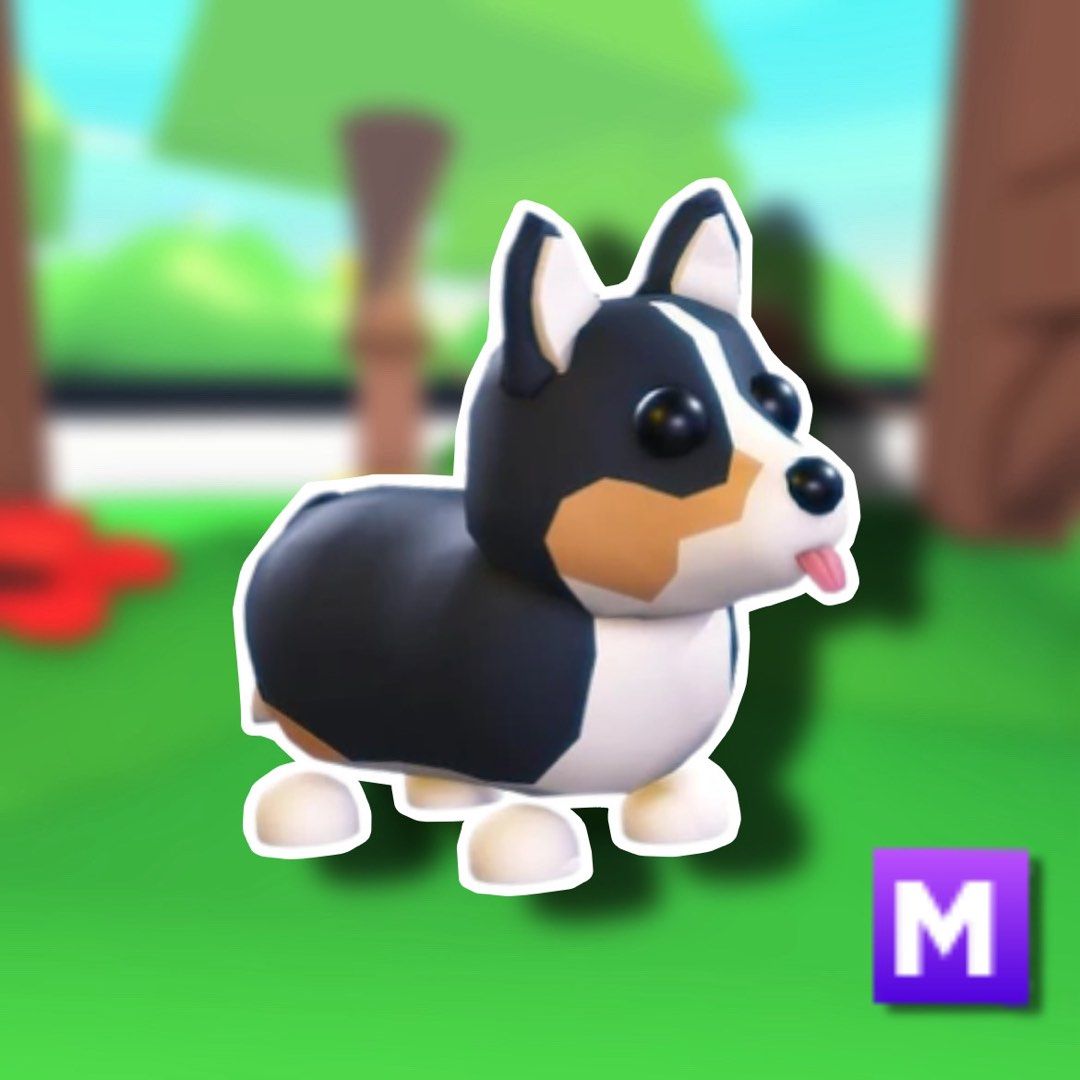 Mega Neon Royal Corgi - Adopt Me, Video Gaming, Gaming Accessories, In ... Mega Neon Royal Corgi - Adopt Me, Video Gaming, Gaming Accessories, In ...