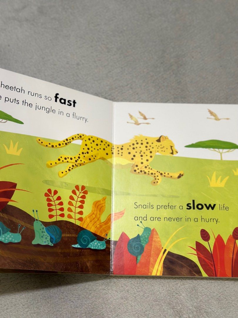 My Book of Opposites, Babies & Kids, Infant Playtime on Carousell