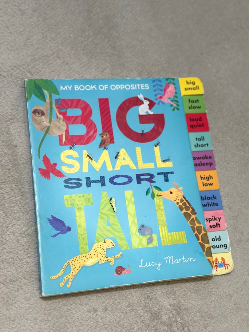 My Book of Opposites, Babies & Kids, Infant Playtime on Carousell