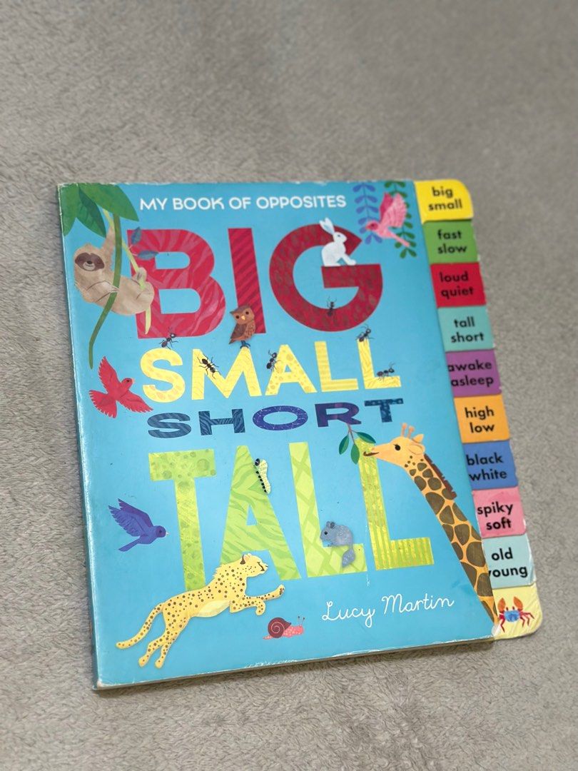 My Book of Opposites, Babies & Kids, Infant Playtime on Carousell