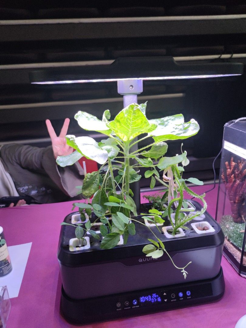 QUUMA HYDROPONIC AEROPONIC HIDROPONIK MACHINE MESIN AUTOMATIC TRAVEL ...