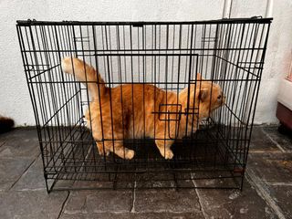 New stock 2 layer cat cage, 2 tiers pet cage with wheels foldable cage ...