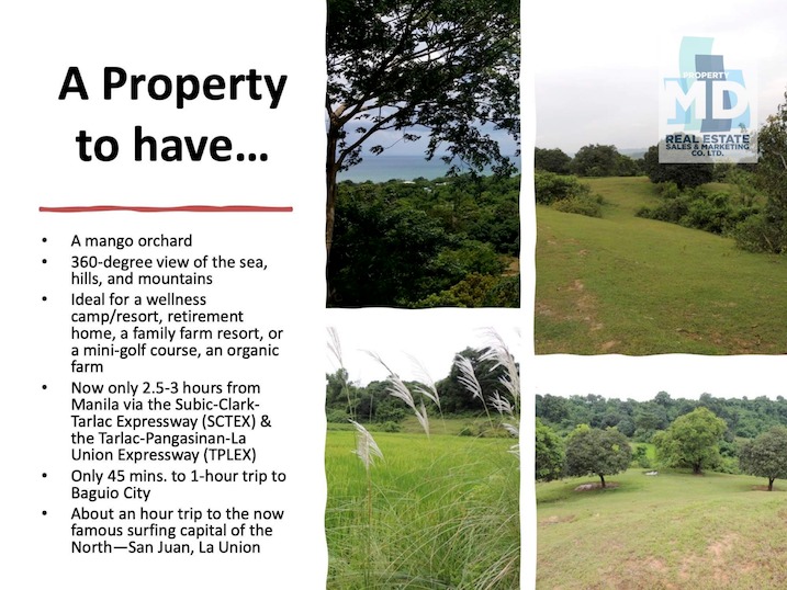 30-Hectare Farm Lot For Sale in Rosario, La Union, Property, For Sale ...