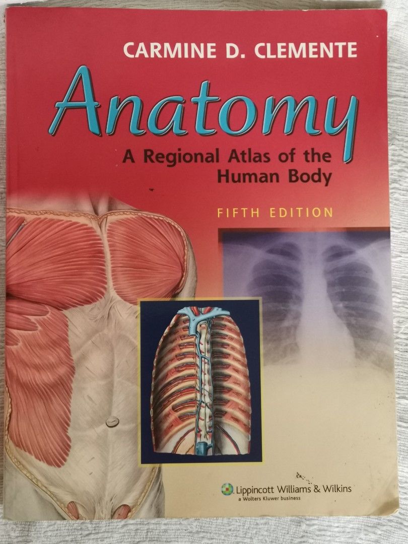 Anatomy: A Regional Atlas of the Human Body 5th ed by Clemente, Hobbies ...