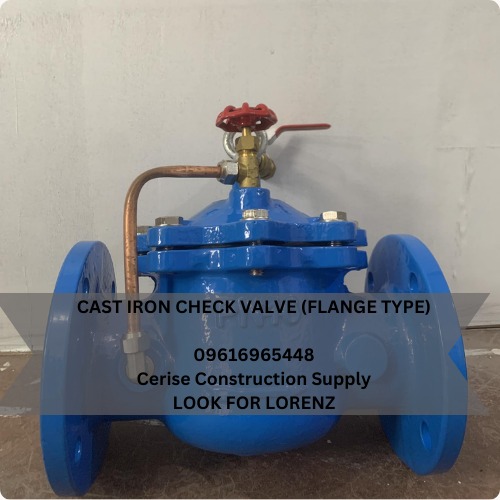 CAST IRON CHECK VALVE, Commercial & Industrial, Construction & Building ...