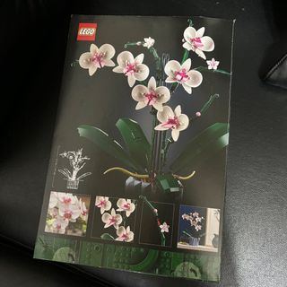 miniso lego flowers, Hobbies & Toys, Toys & Games on Carousell