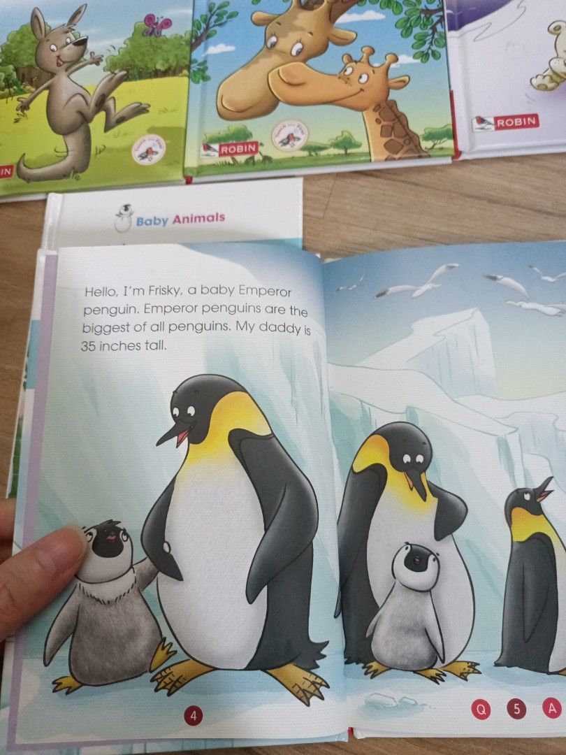 Robin Baby Animal Book Set 2, Hobbies & Toys, Books & Magazines ...