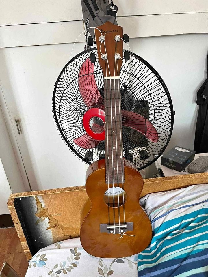 Ukulele Premiere, Hobbies & Toys, Music & Media, Musical Instruments on ...