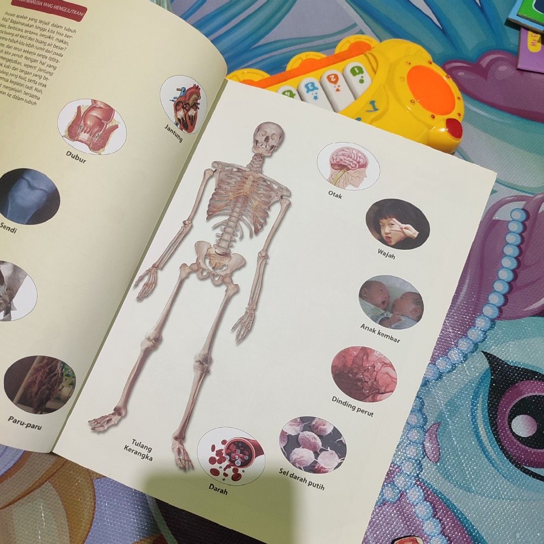 Human body komik dan edukasi tubuh kita yang menawan, Buku & Alat Tulis ...
