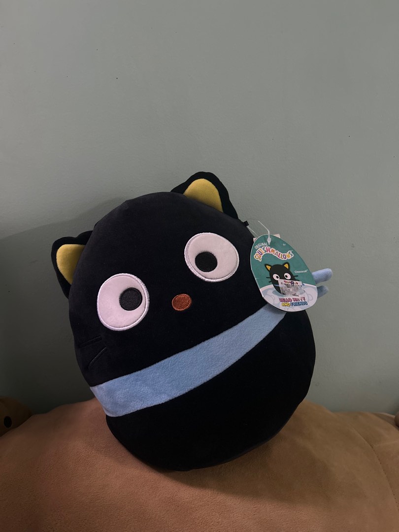 sanrio chococat original squishmallows plush toy doll, Hobbies & Toys ...