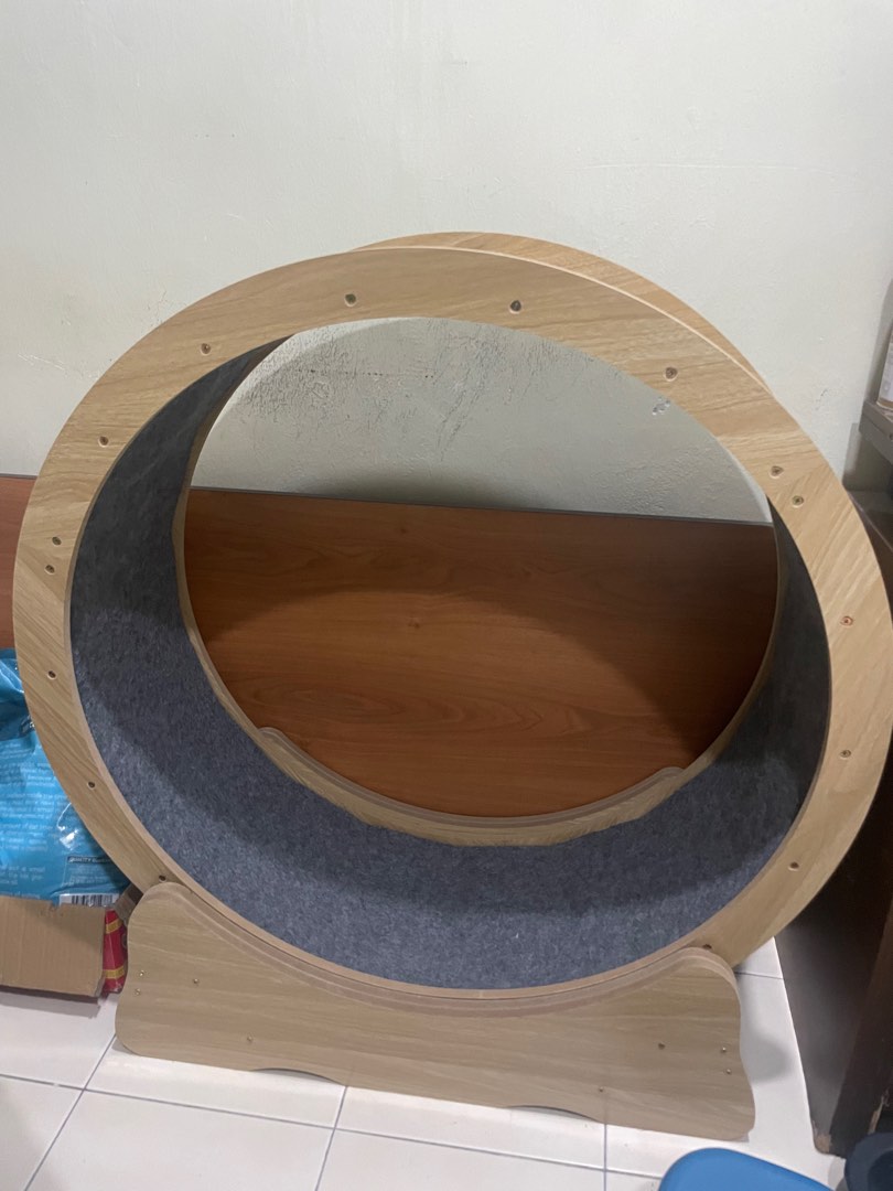 Cat treadmill, Pet Supplies, Homes & Other Pet Accessories on Carousell