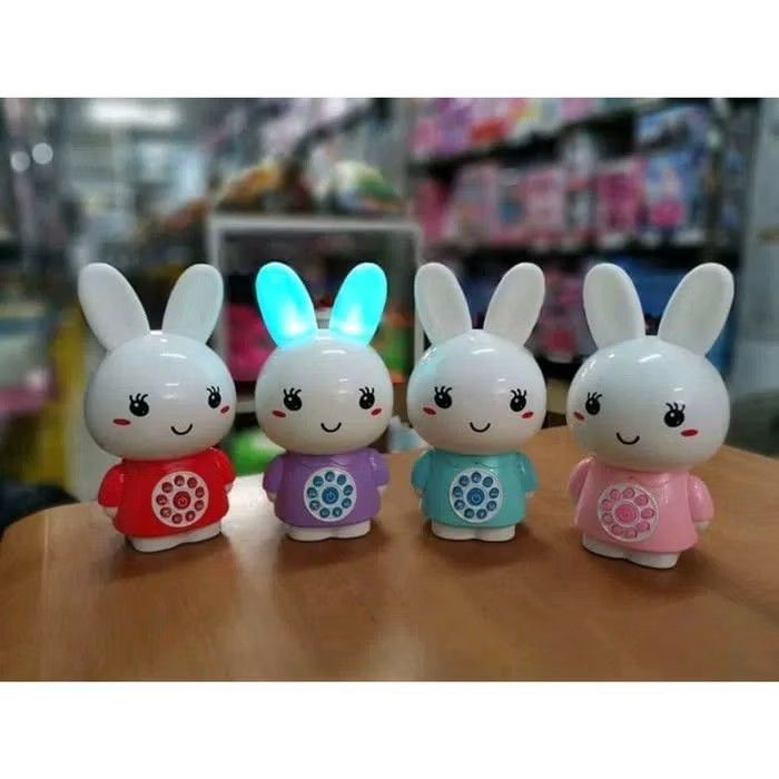 Mainan edukasi Anak Kelinci Kesayangan, Toys & Collectibles, Mainan di ...