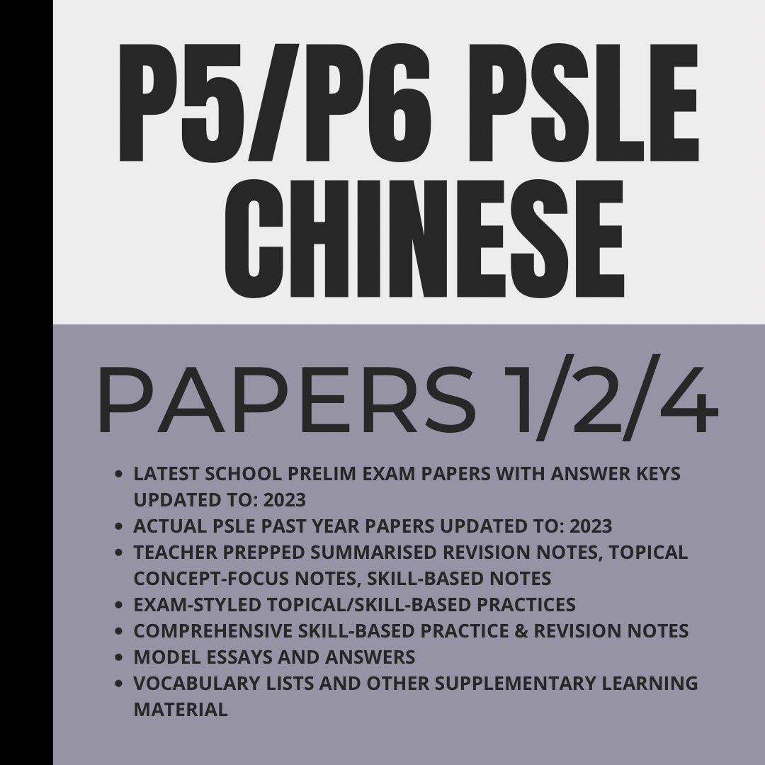 PSLE CHINESE EXAM PACKAGE|PSLE CHINESE LANGUAGE 0005|COMPREHENSIVE ...