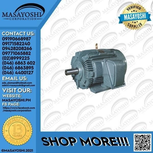 Teco Induction Motor | Copper Winding | Engine Motor, Commercial ...