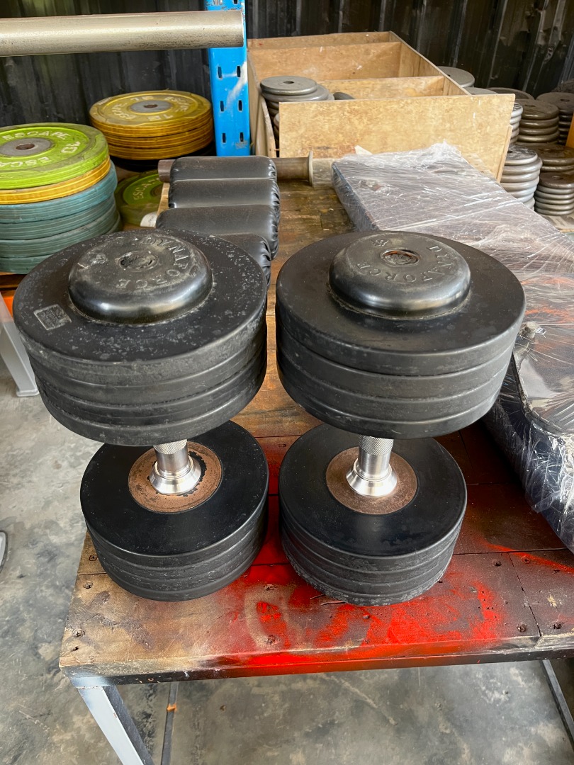 22.5kg Dumbbell Used Gym Equipment Exercise, Sports Equipment, Exercise ...