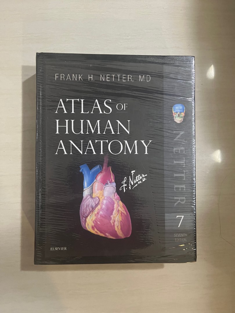 Netter’s Atlas of Human Anatomy (7th ed), Hobbies & Toys, Books ...