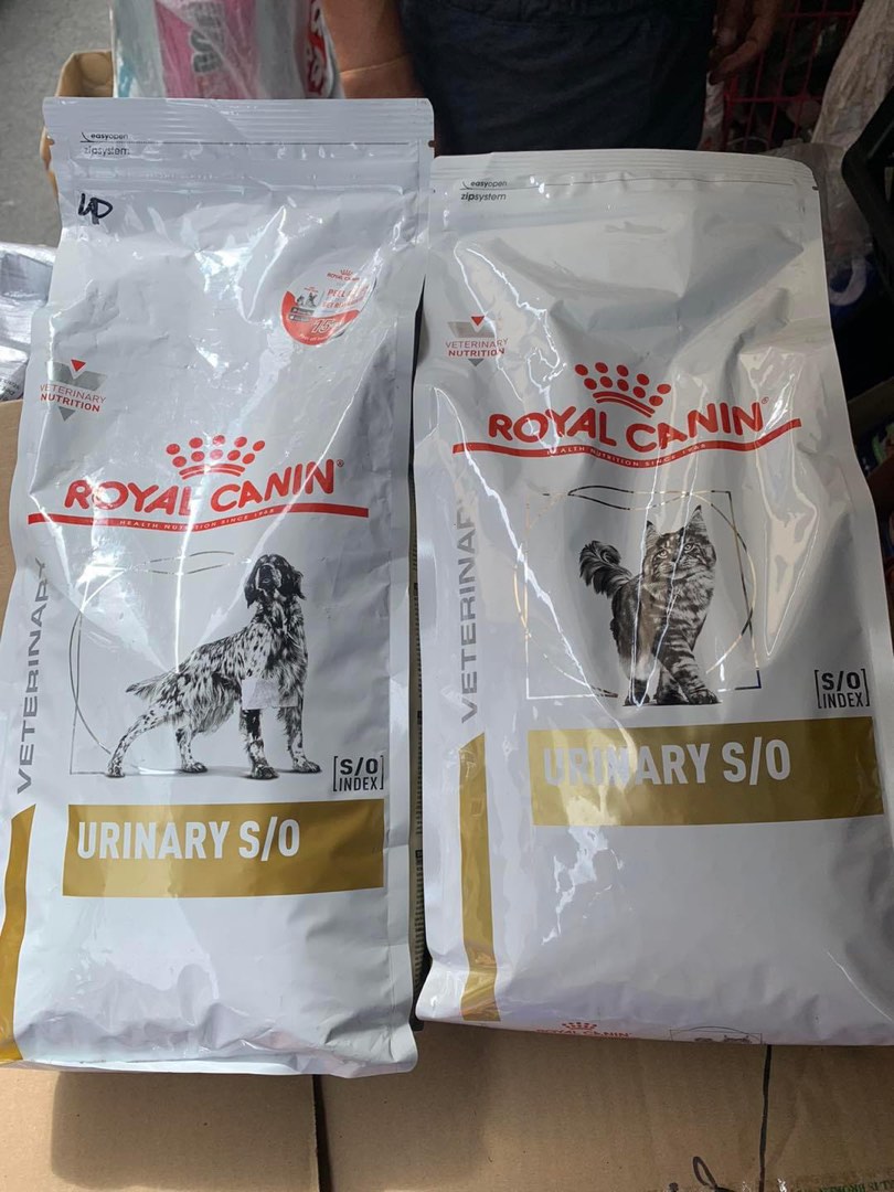 Royal Canin SO for cats, Pet Supplies, Pet Food on Carousell