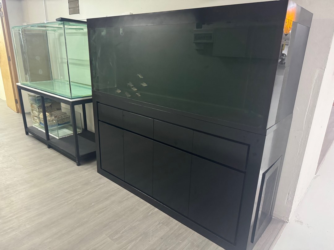 6ft by 2ft by 2.5ft fish tank with sump tank, Pet Supplies, Homes ...