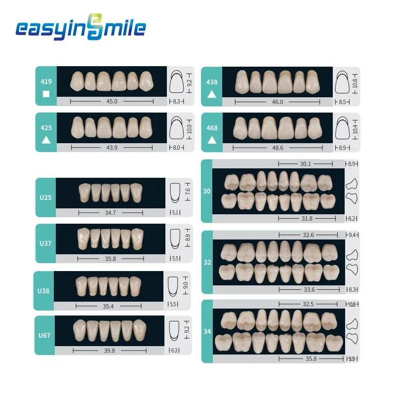 A1 A2 A3 Denture Teeth Dental Education Model Fake teeth Upper Lower ...